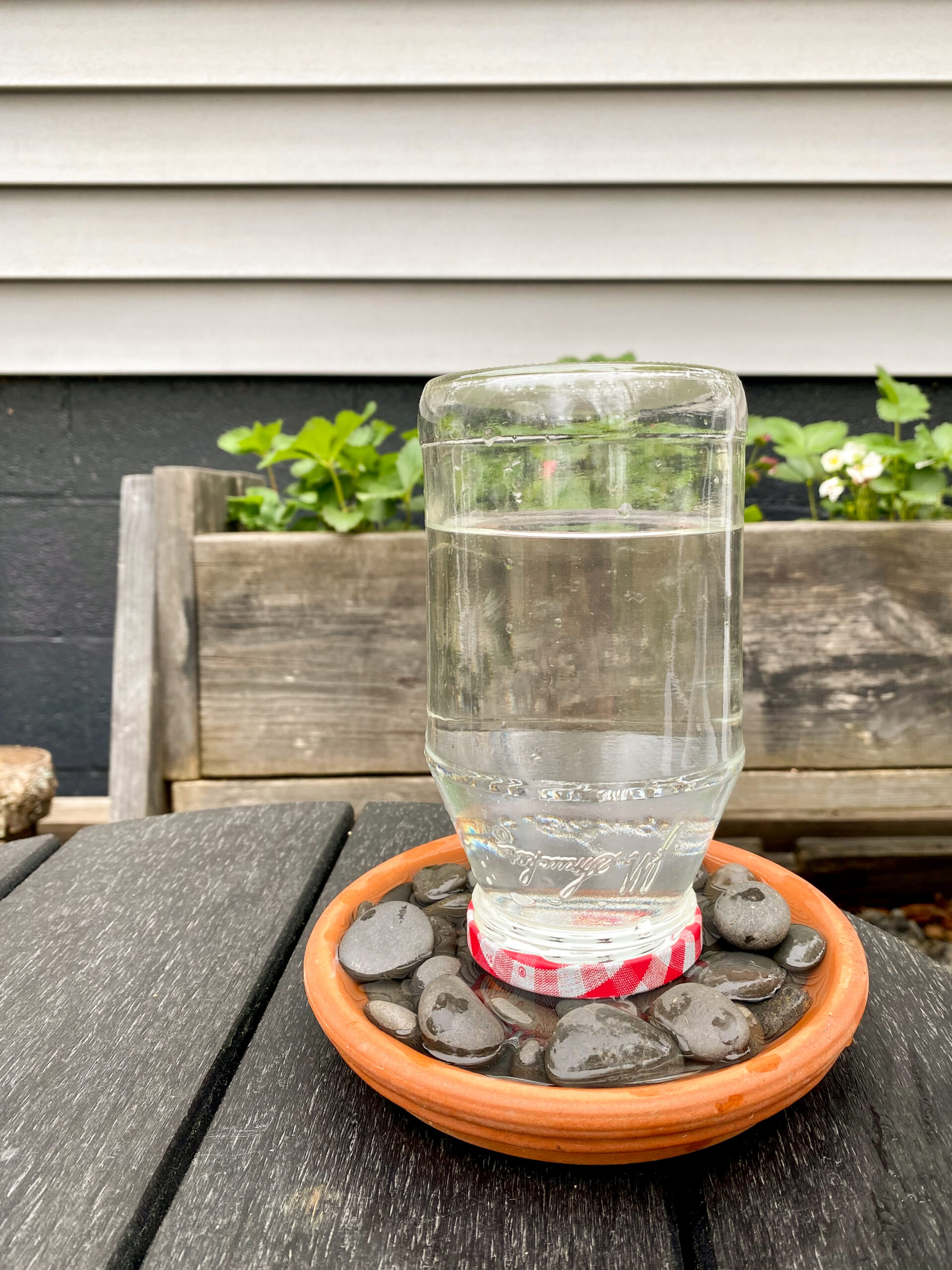 DIY Bee Watering Station – A Small Life